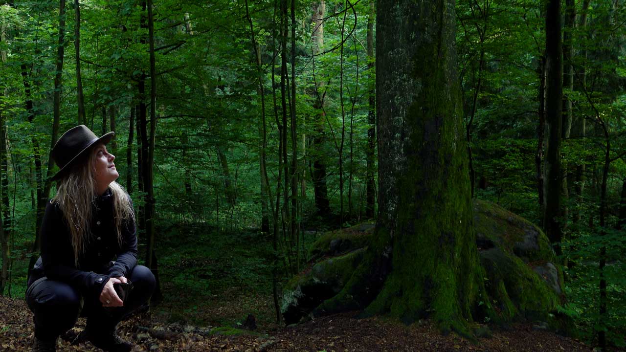 Introduction to Forest Bathing - Alchemy of the Forest